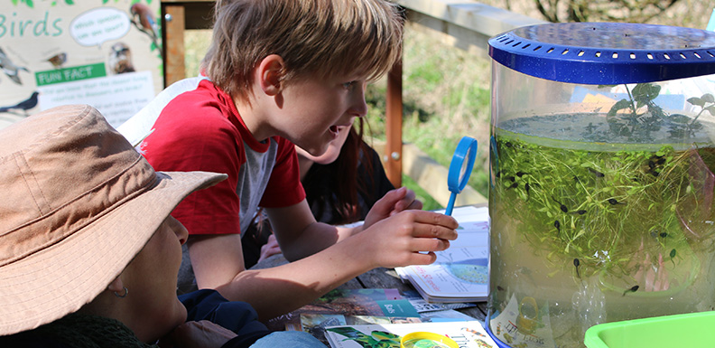 Upcoming Events at Fonmon Castle | Fonmon Castle Park and Gardens