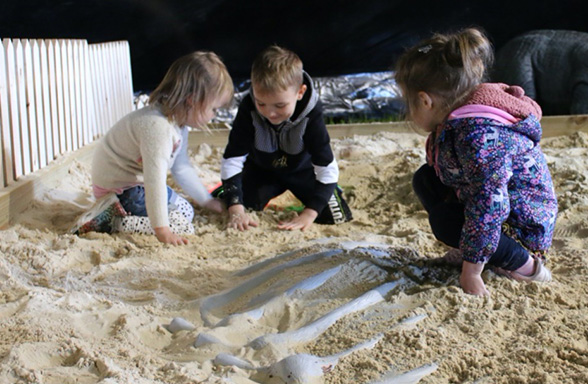 The Fonmon Castle Dinosaurs