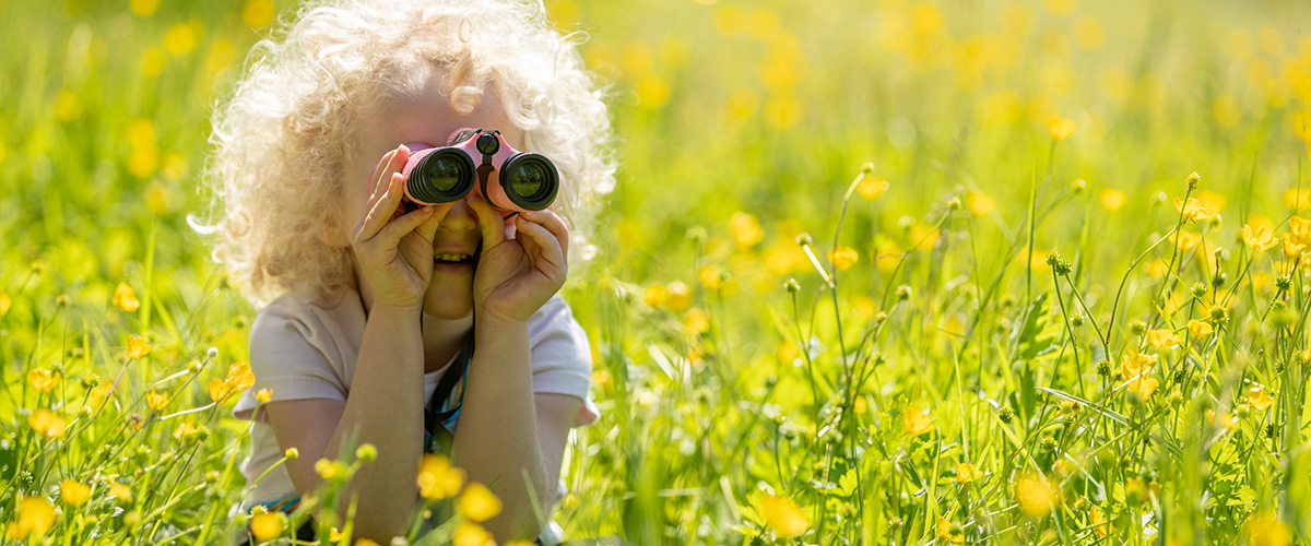 Upcoming events at Fonmon Castle | Fonmon Castle Park and Gardens